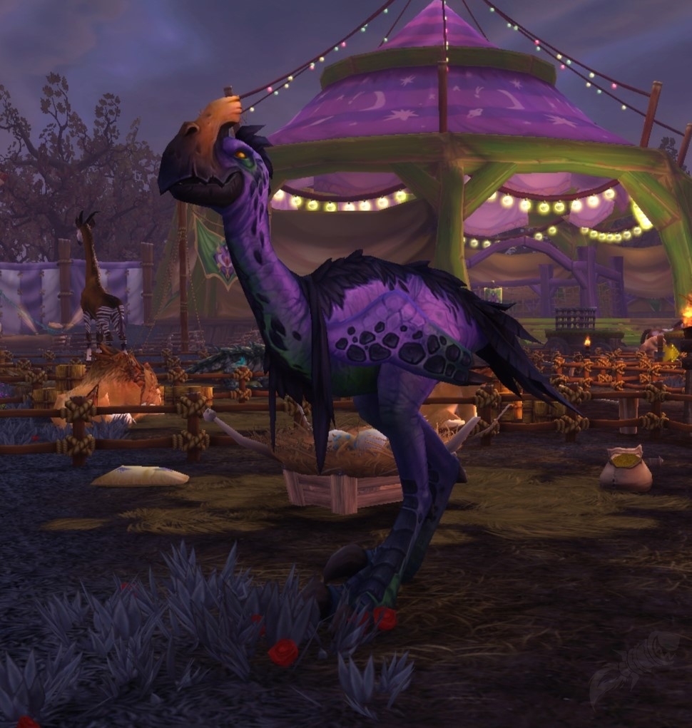 Violet - NPC - World of Warcraft