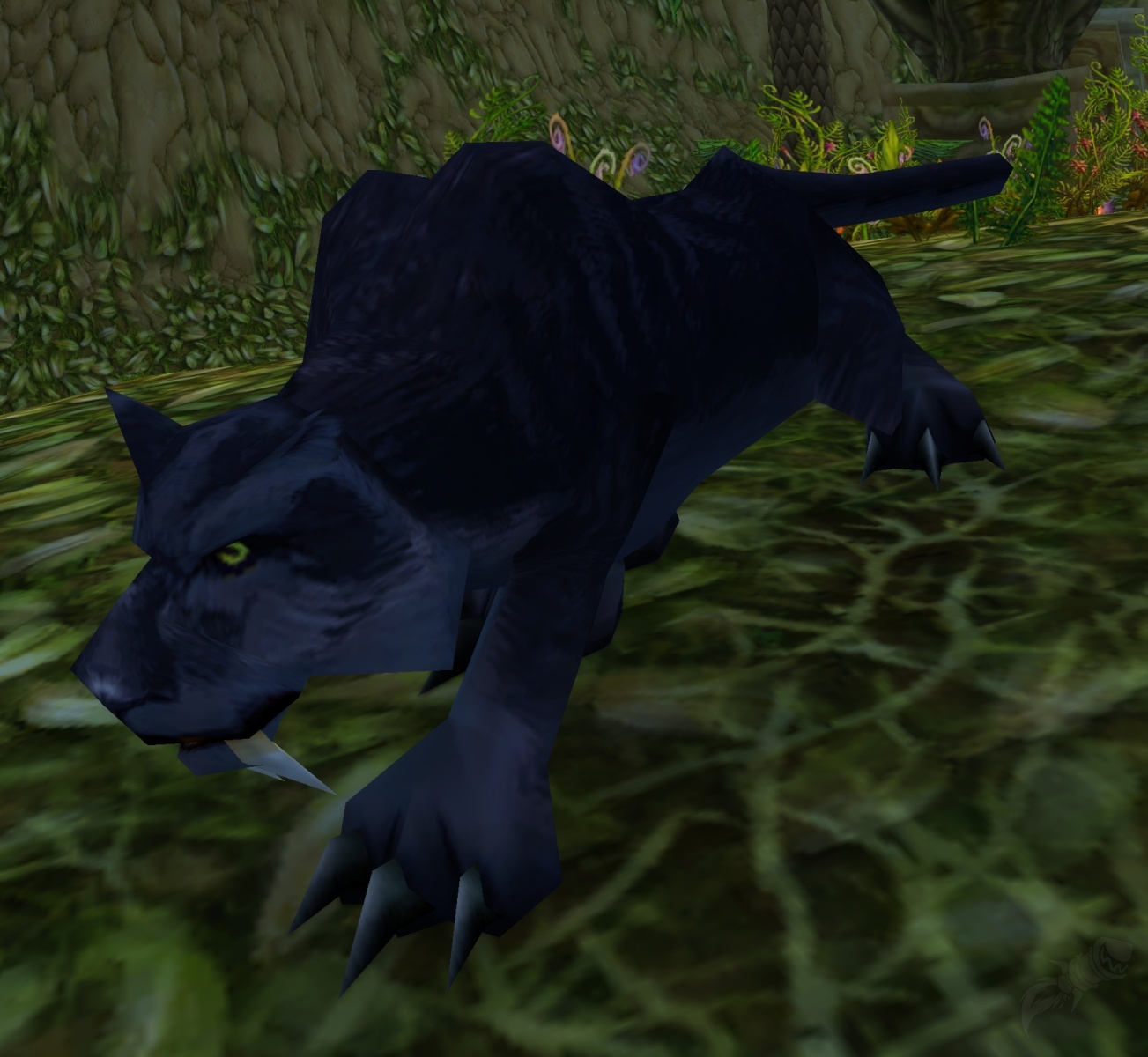 Pantera - PNJ - World of Warcraft
