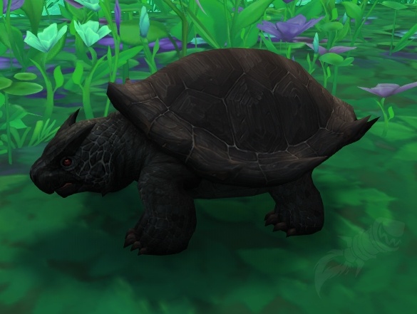 Singing Shore Tortoise - NPC - World of Warcraft