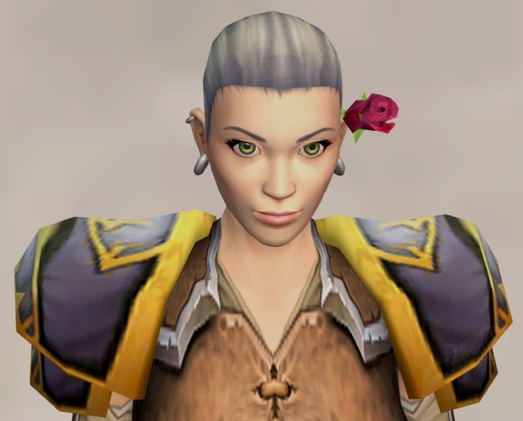 Shadowskin Spaulders - Item - World of Warcraft