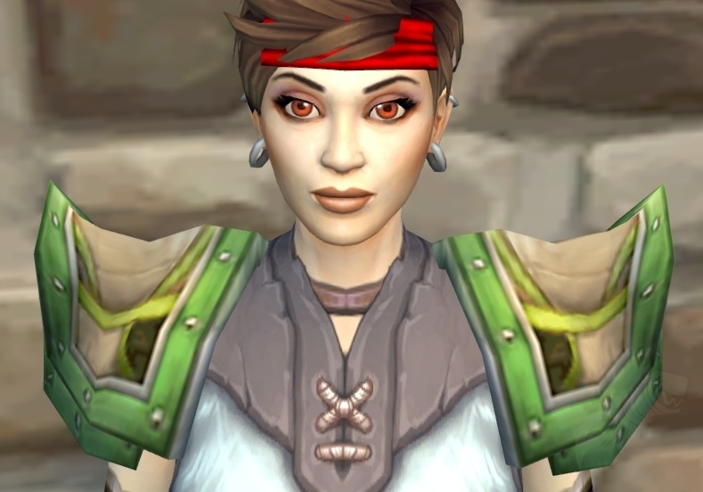 Bravo Company Shoulderguards - Item - World of Warcraft