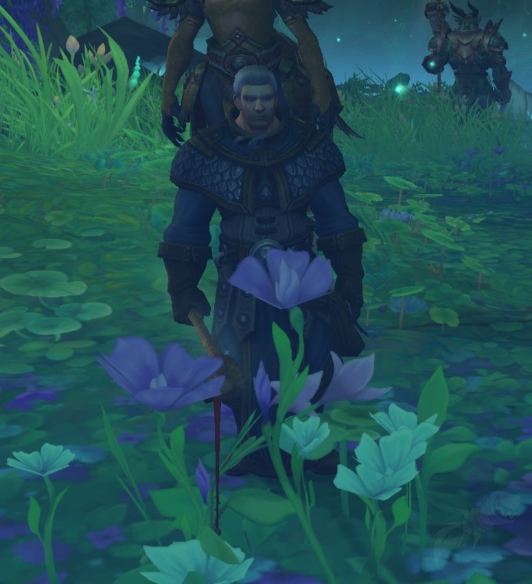 Archmage Khadgar - NPC - World of Warcraft