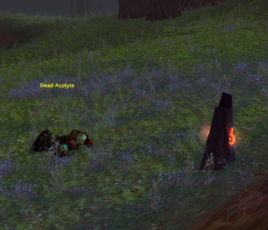 Dead Acolyte - NPC - Classic World of Warcraft