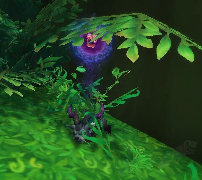 Dreaming Fol'ya - NPC - World of Warcraft