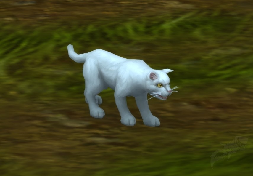Navin - NPC - World of Warcraft