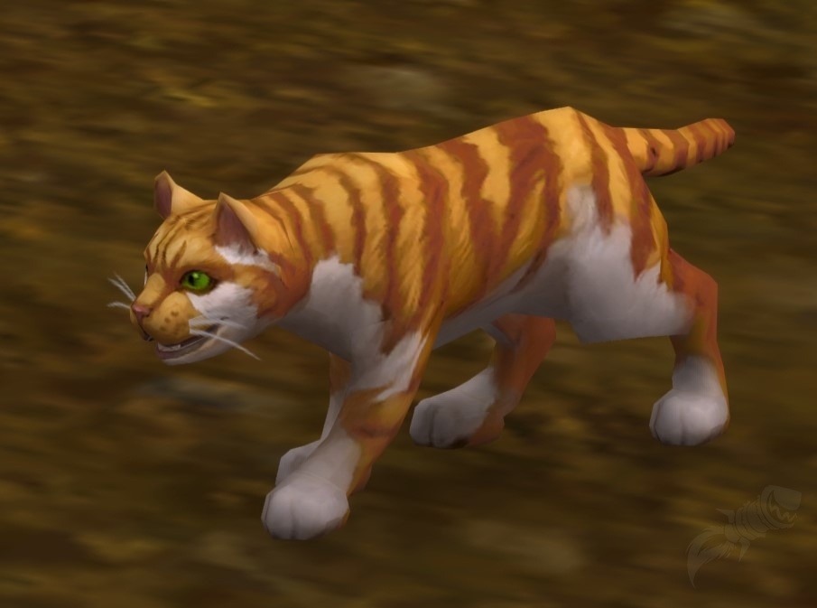 Katze - NPC - World of Warcraft