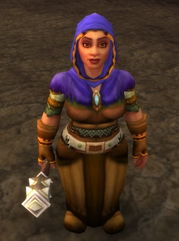 Expeditionary Priest - NPC - World of Warcraft