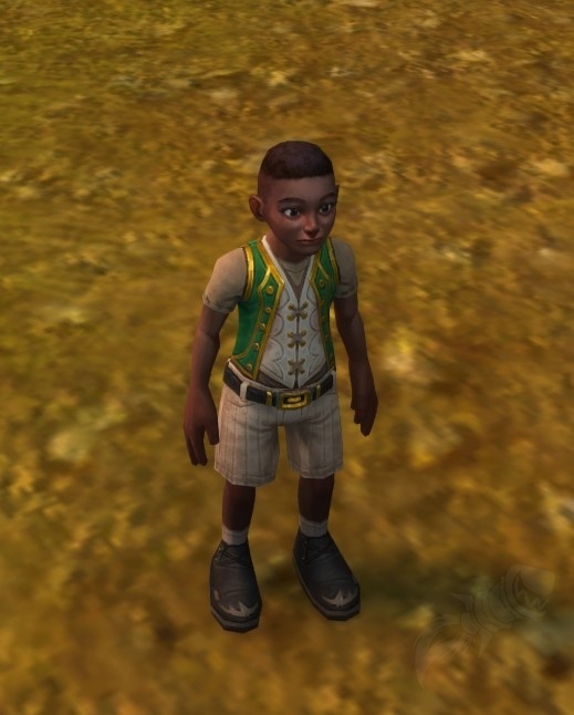 누더기 소년 - NPC - 월드 오브 워크래프트