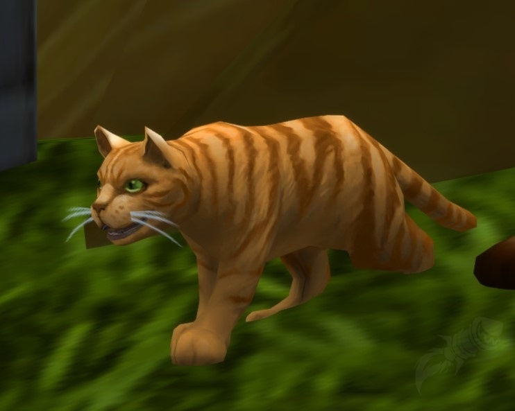 Tabbi - PNJ - World of Warcraft