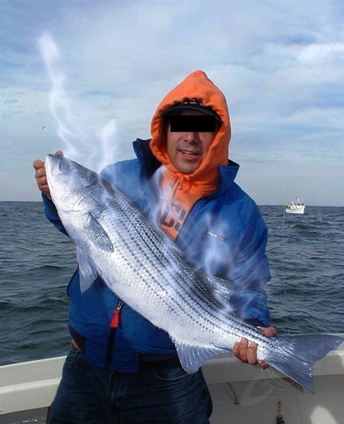 Arenque embrujado - Objeto - WotLK Clásico