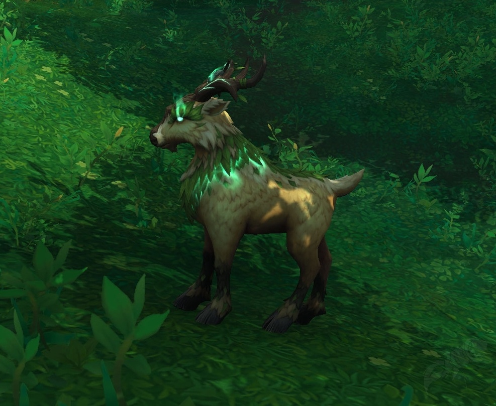 Corça da Clareira Florescente - PNJ - World of Warcraft