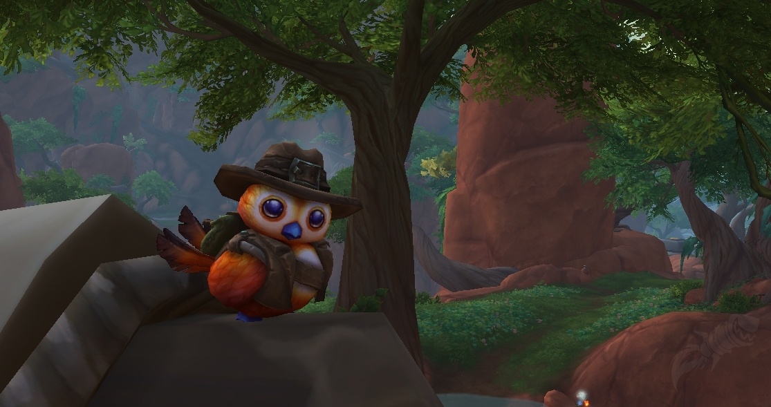 A Tiny Explorer's Hat - Item - World of Warcraft