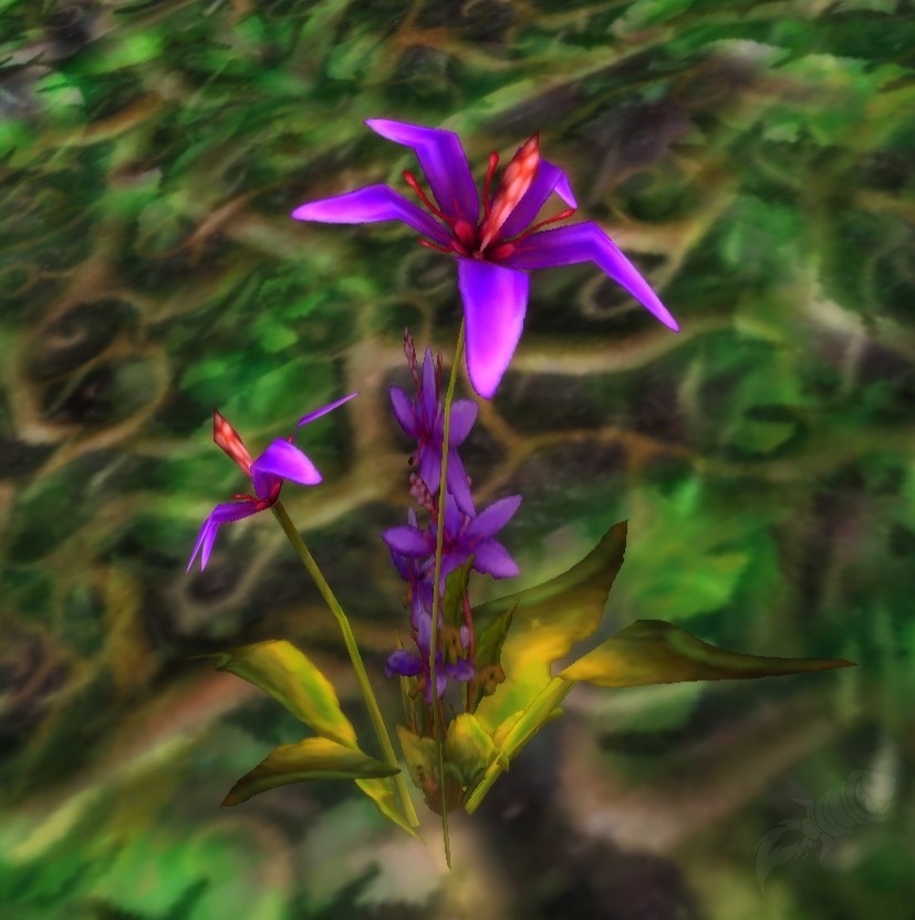 Glade Flower - Object - Classic World of Warcraft