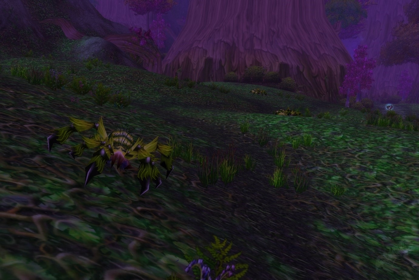 Une recette kaldorei - Quête - World of Warcraft Classic