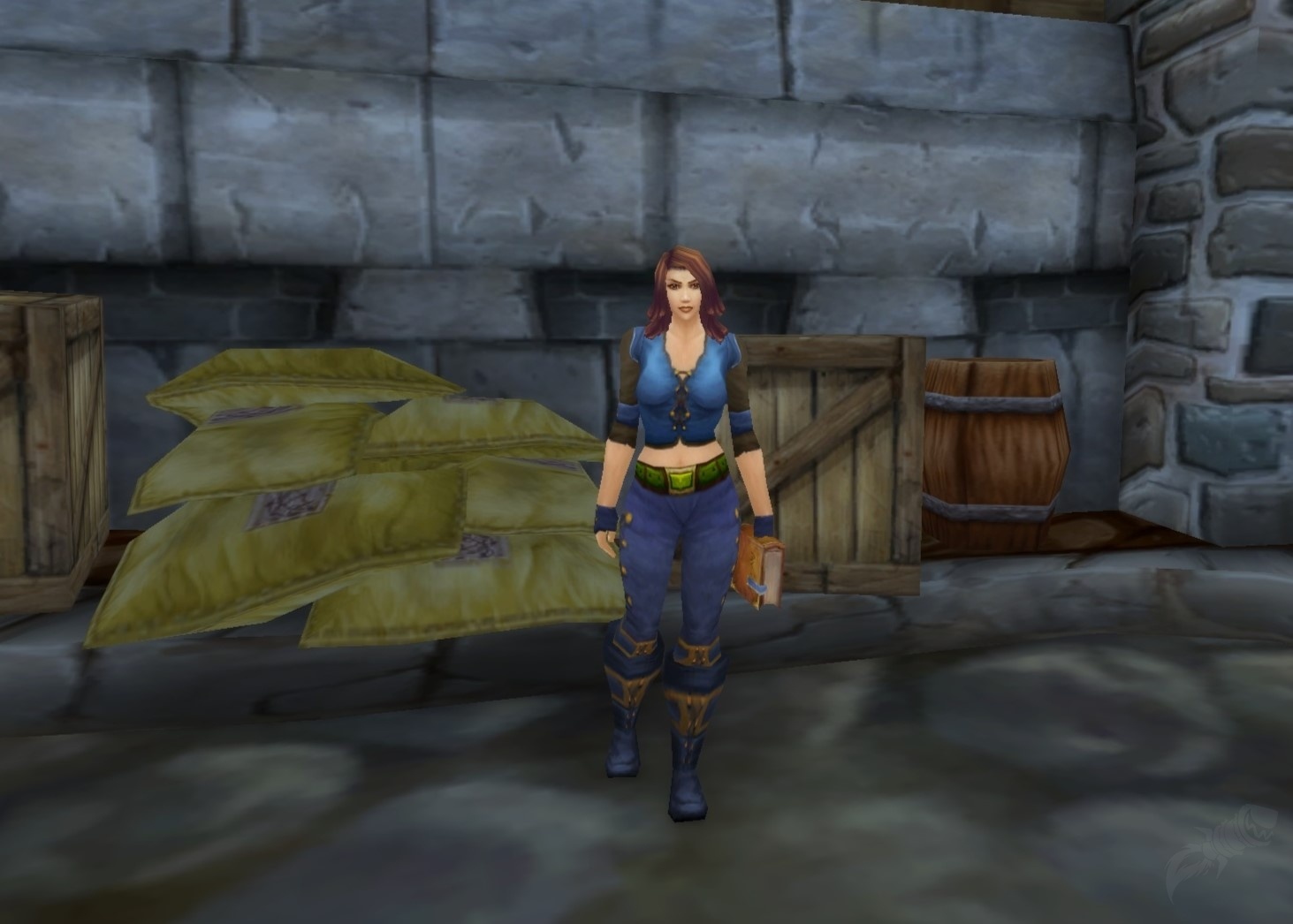 Une cargaison égarée - Quête - World of Warcraft Classic