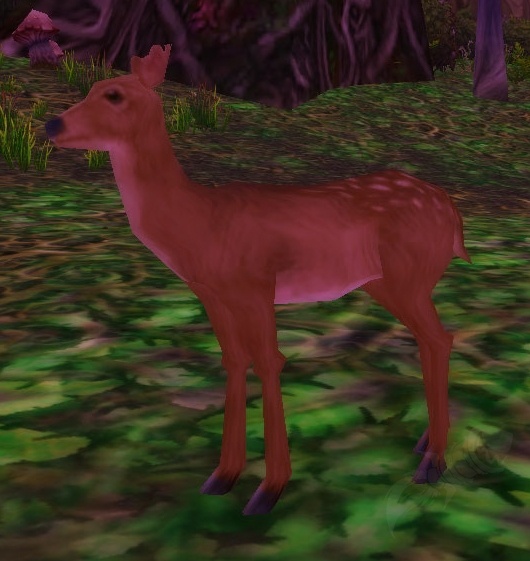 Ciervo - PNJ - World of Warcraft Clásico