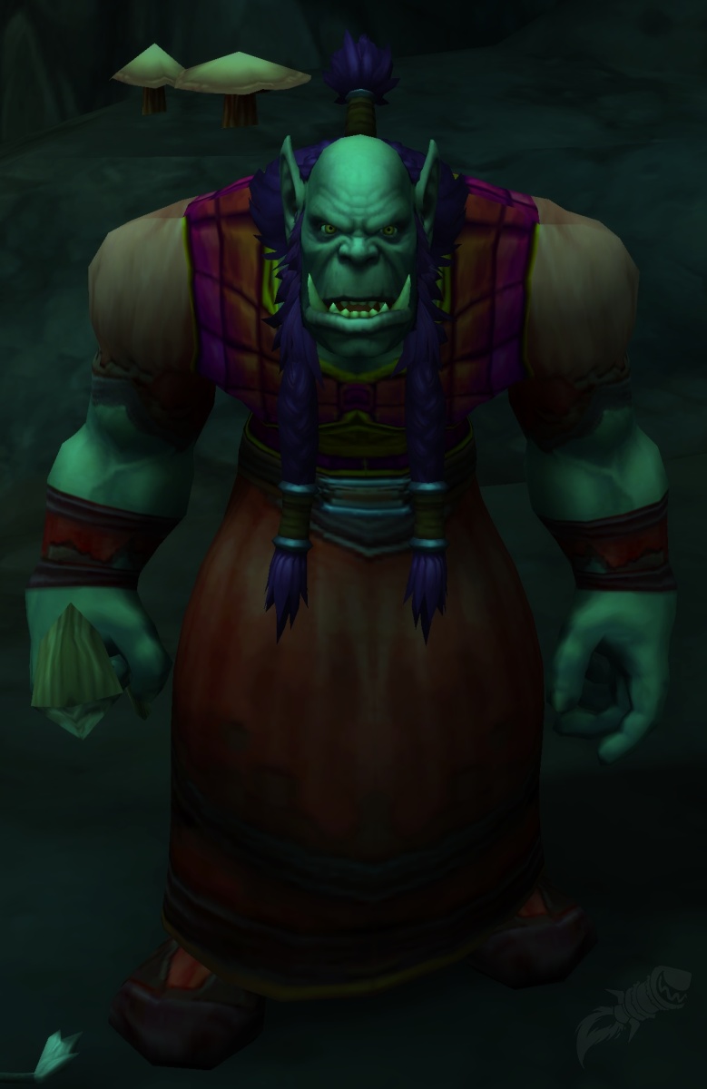 Invocateur rochenoire - PNJ - World of Warcraft