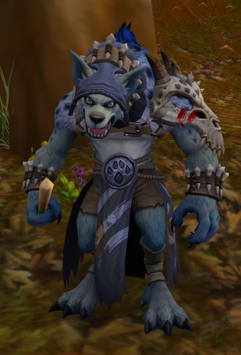 Shadowhide Darkweaver - NPC - World of Warcraft