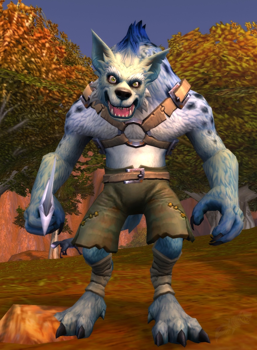 Shadowhide Gnoll - NPC - World of Warcraft