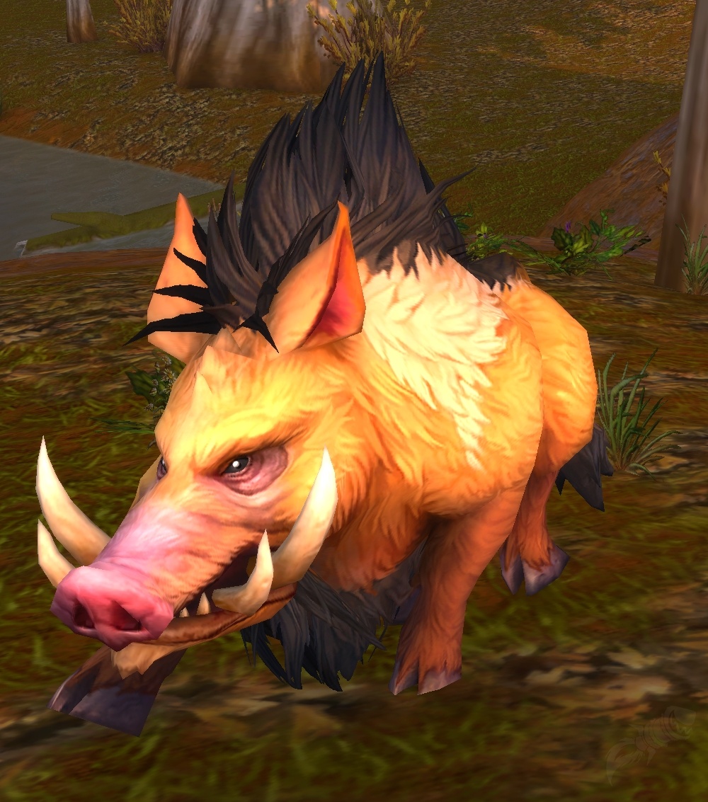 Bellygrub - NPC - World of Warcraft