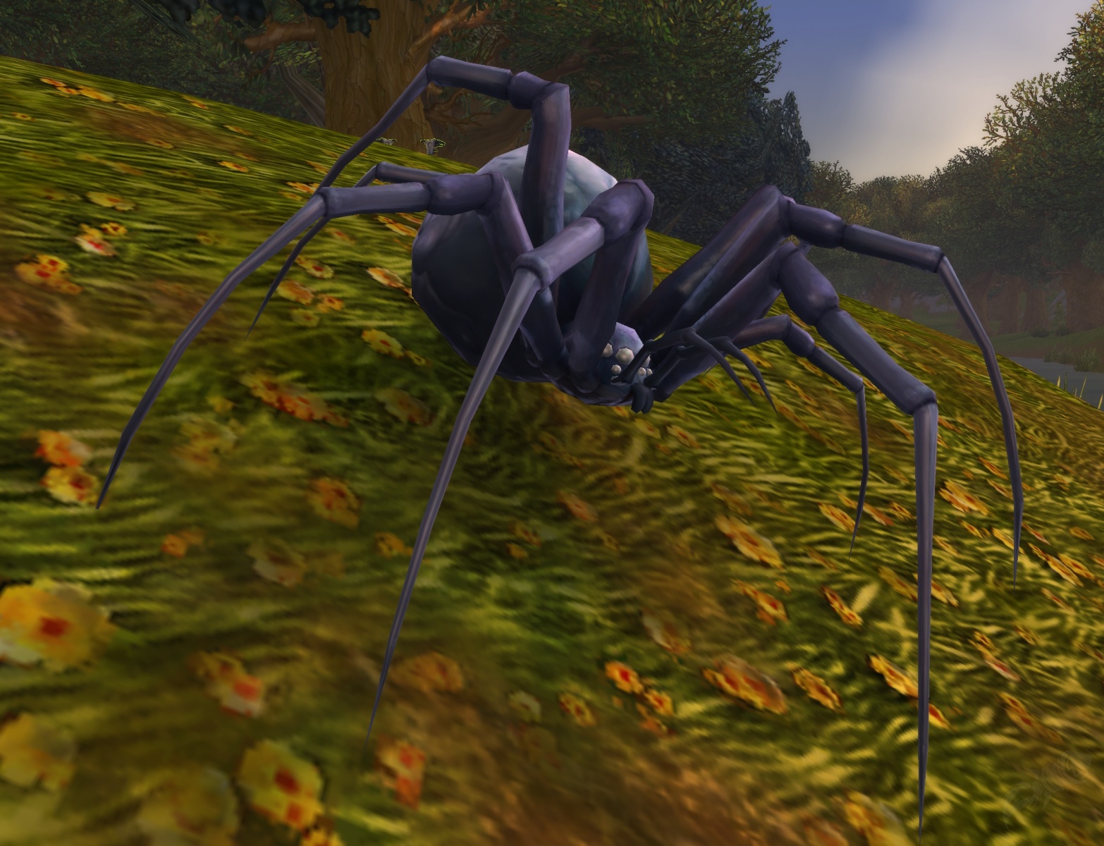 Venom Web Spider - NPC - World of Warcraft