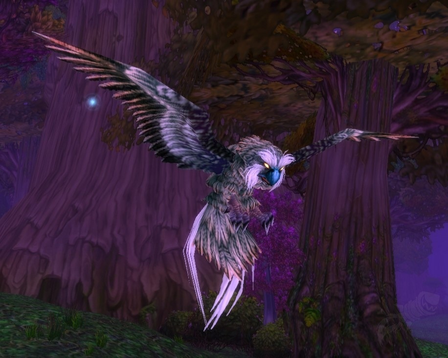 Lechuza estrígida - PNJ - World of Warcraft Clásico