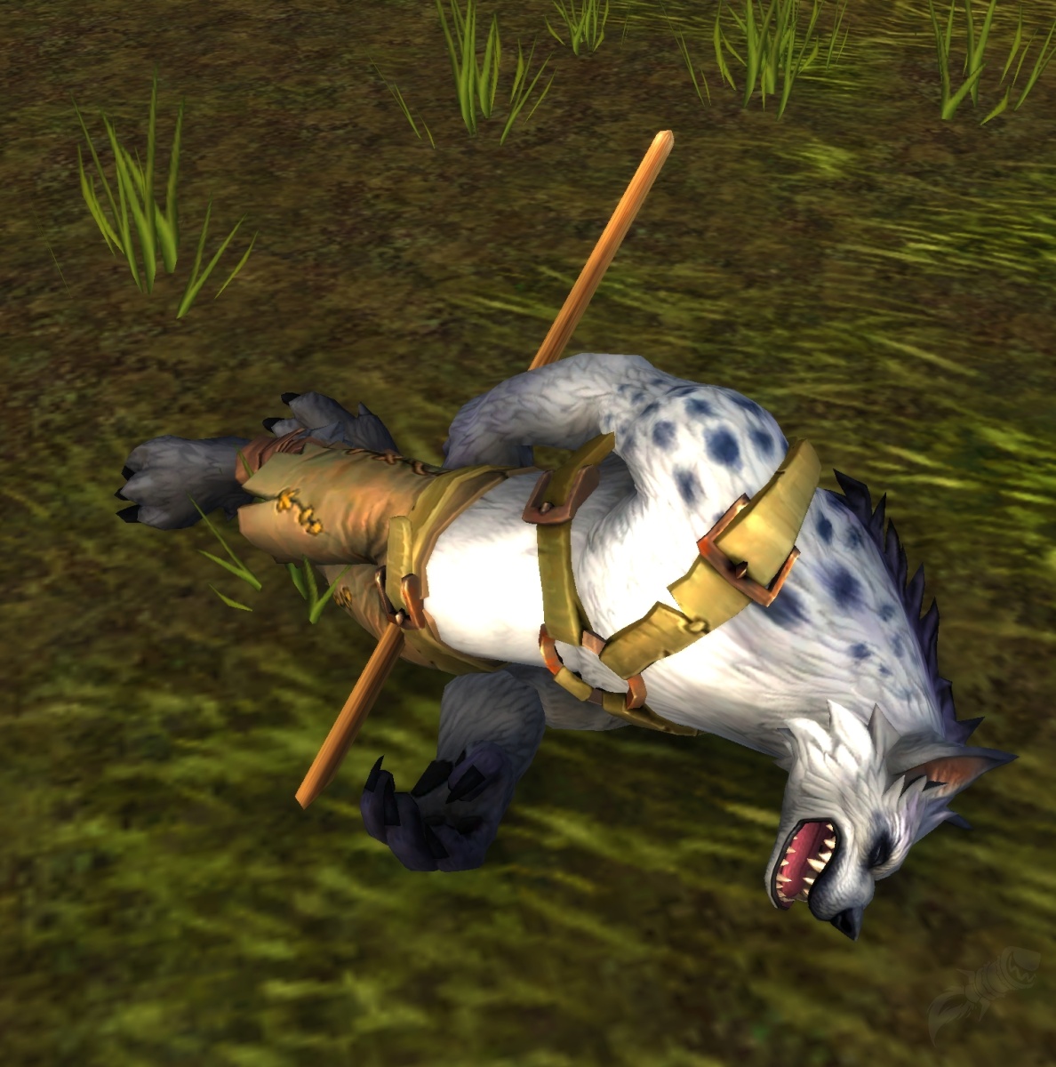 Slowly Decaying Mosshide Mystic - NPC - World of Warcraft