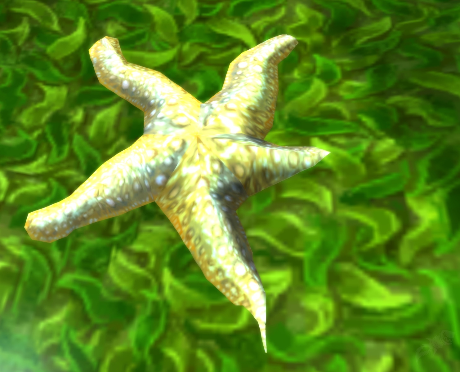 Saltwater Star - Object - World of Warcraft