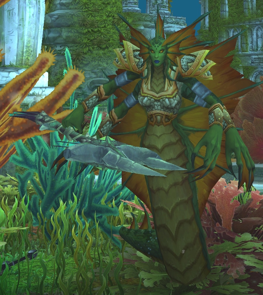 Dama Guerreira Naz'jar - PNJ - World of Warcraft