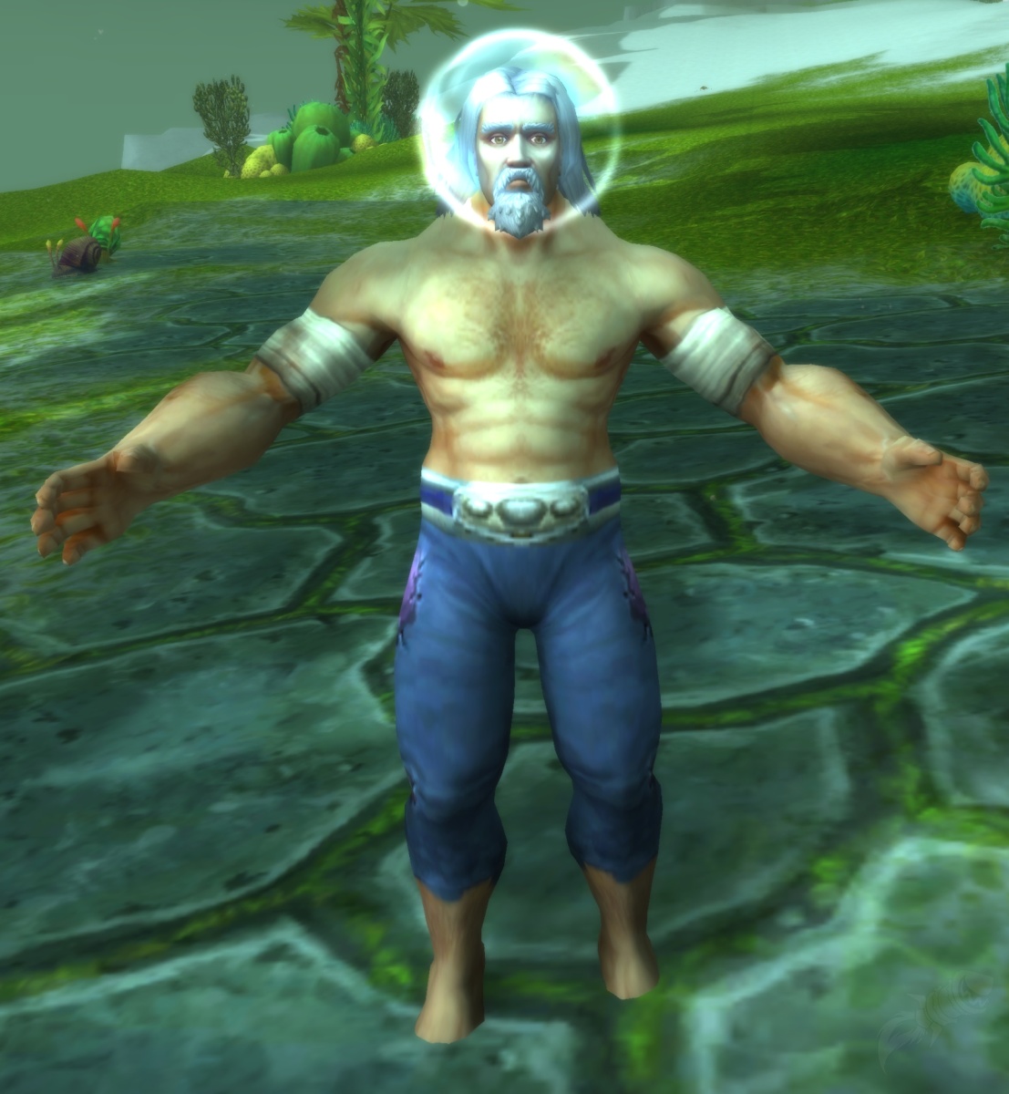 Jorlan Trueblade - NPC - World of Warcraft