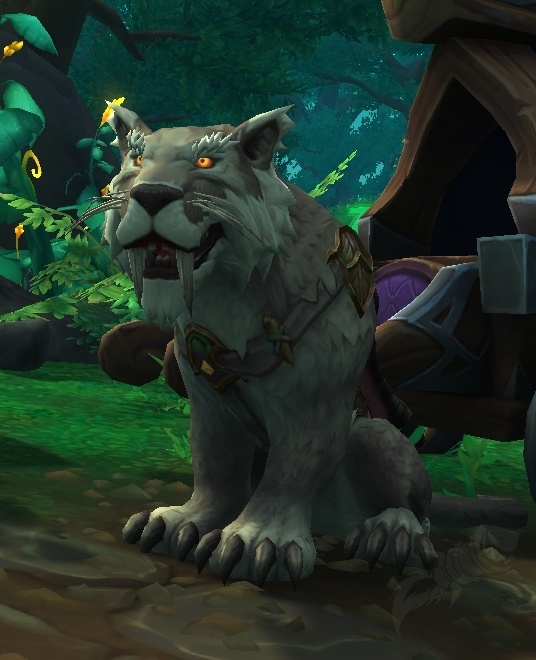 Trained Nightsaber - NPC - World of Warcraft