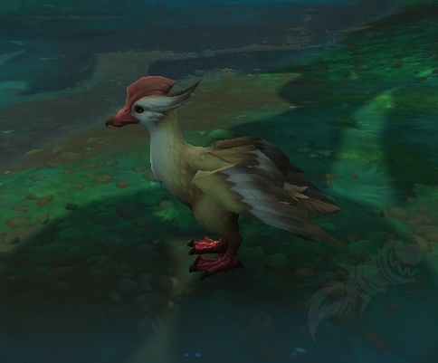 Shadelapper Duck - NPC - World of Warcraft