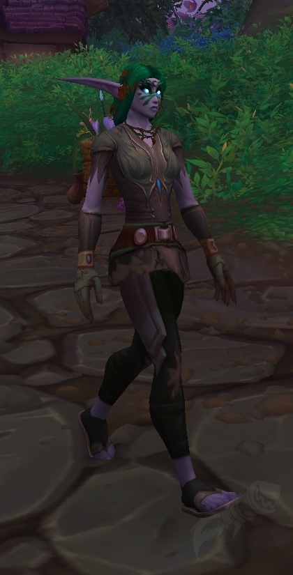 Val'sharah Visitor - NPC - World of Warcraft