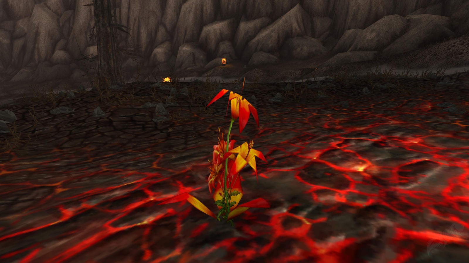 In Bloom - Quest - World of Warcraft