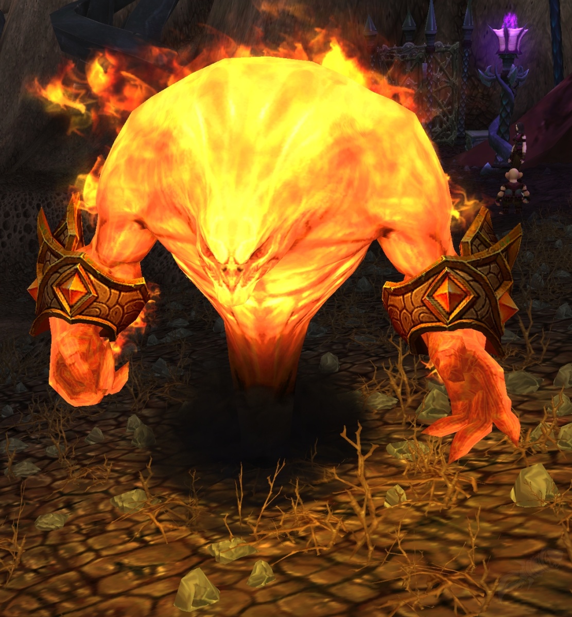 Flammender Trainer - NPC - World of Warcraft