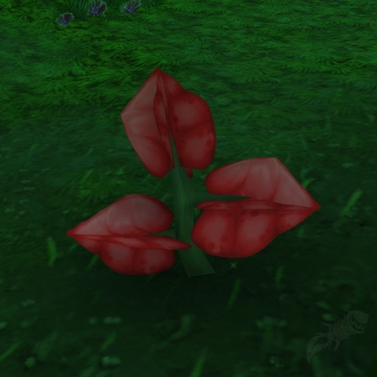 Flower of Felicity - Object - World of Warcraft