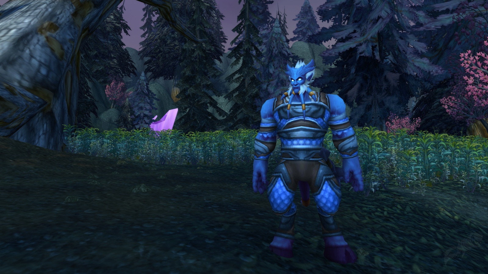 Blood Elf Plans - Quest - World of Warcraft