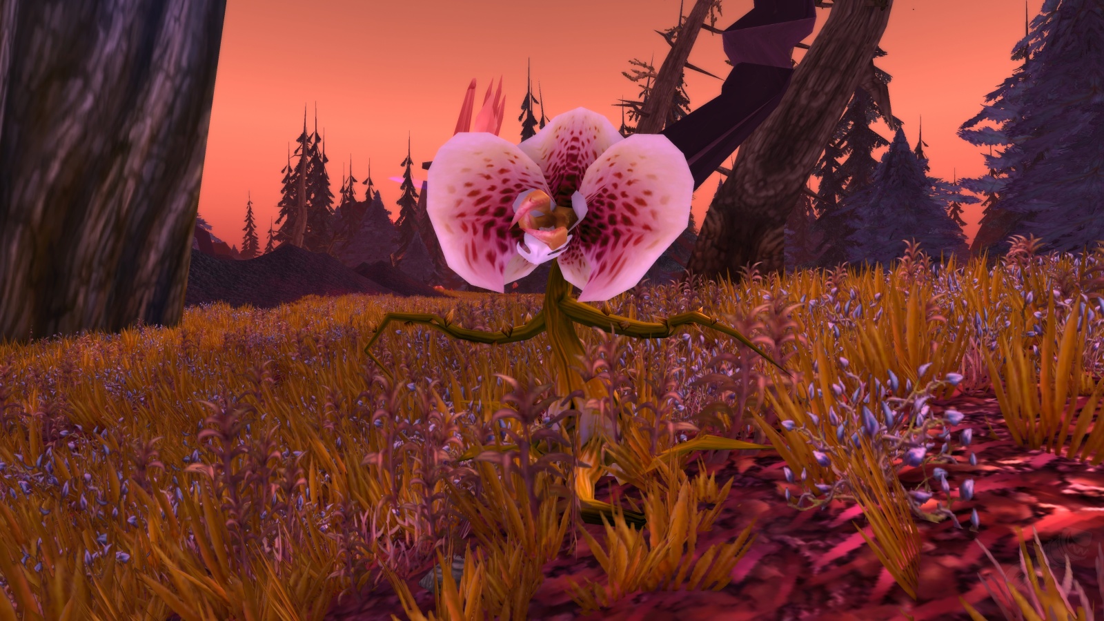 Constrictor Vines - Quest - World of Warcraft