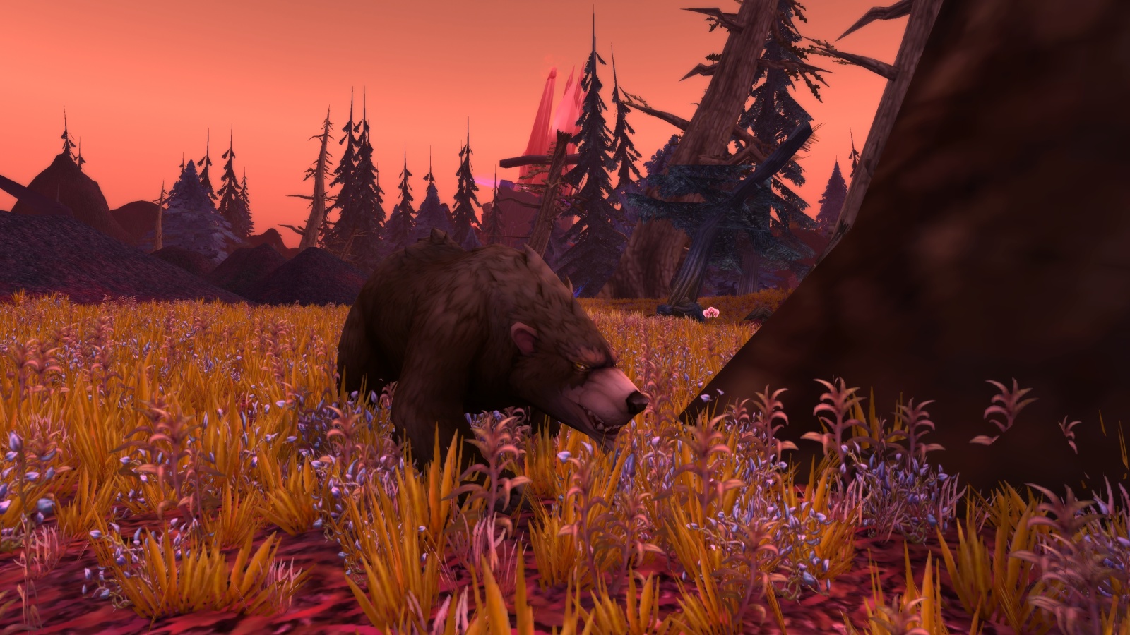 The Bear Necessities - Quest - World of Warcraft