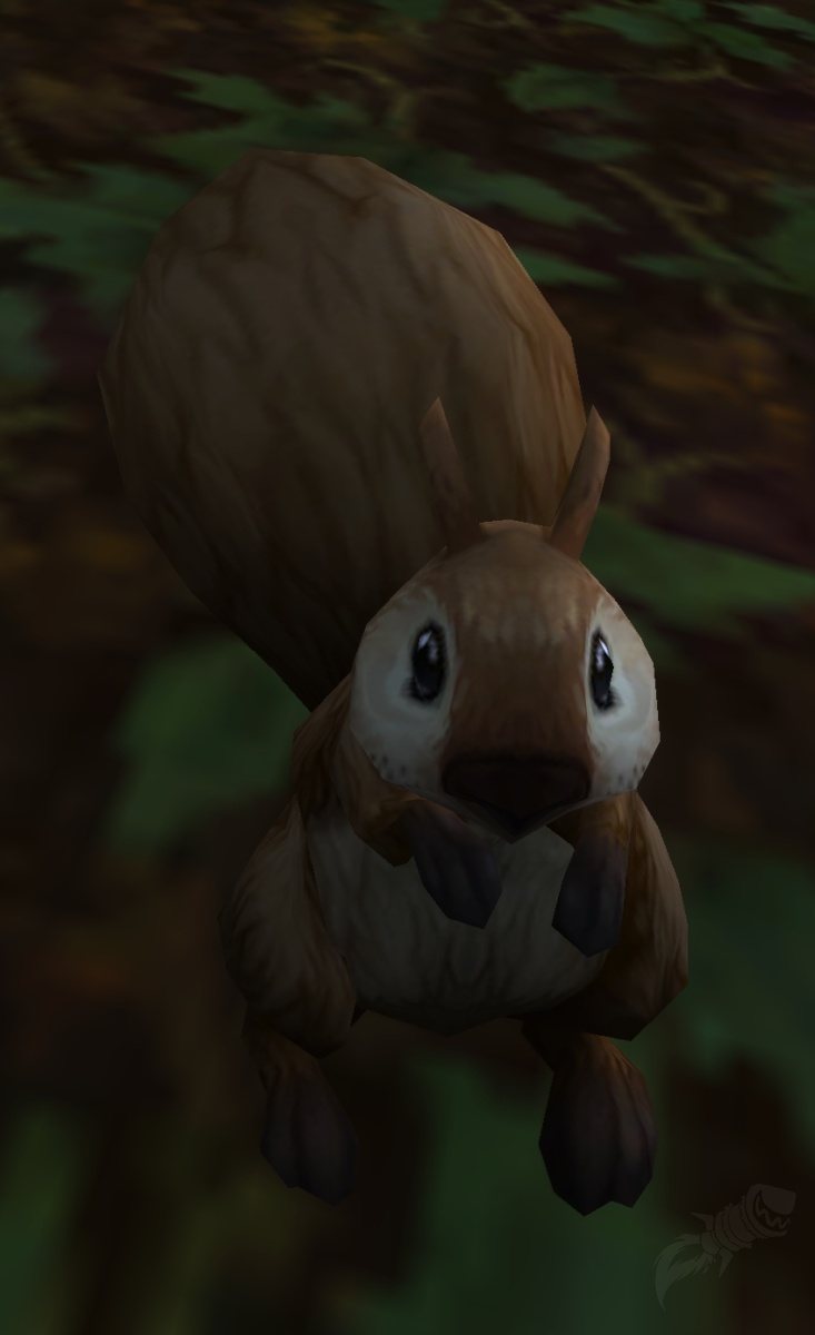 Alimaña curiosa - PNJ - World of Warcraft