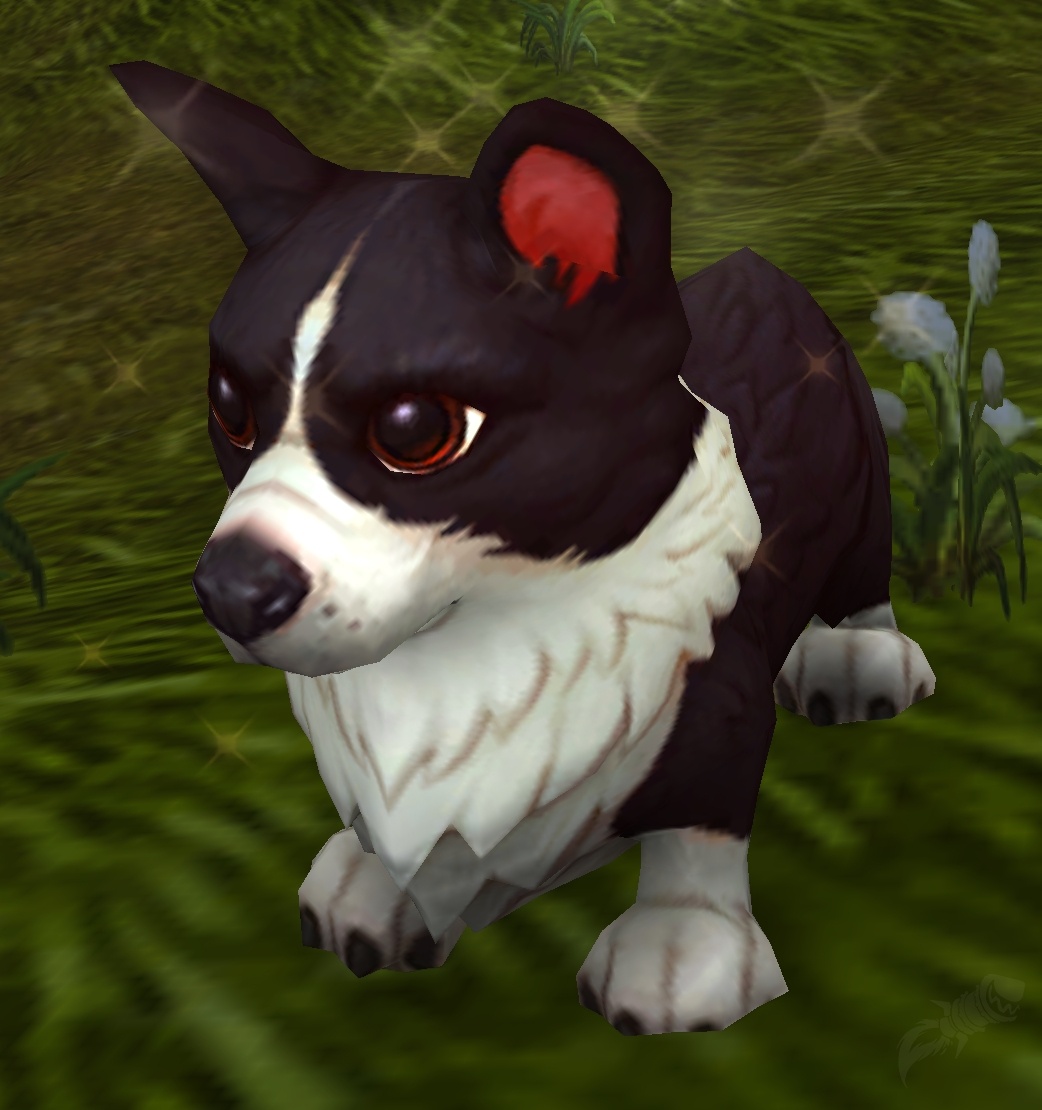 Dog - NPC - World of Warcraft