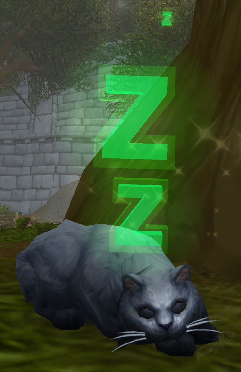 Gato - PNJ - World of Warcraft