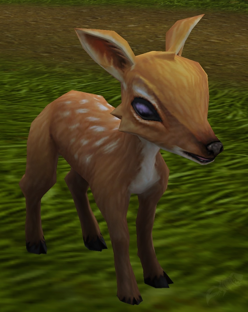 Playful Fawn - NPC - World of Warcraft