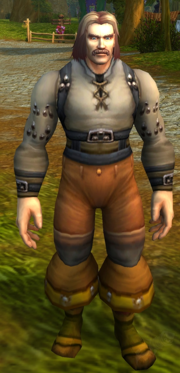 Stormwind Citizen - NPC - World of Warcraft