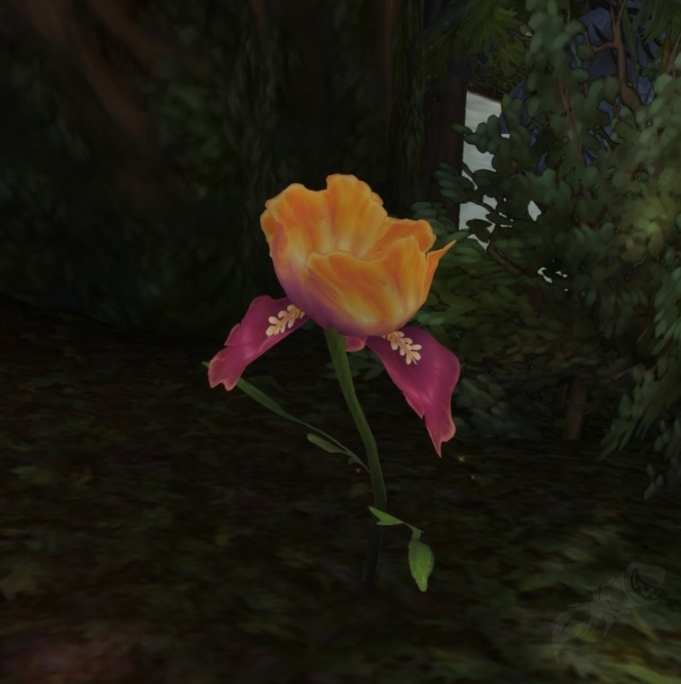 Orange Illicium - Object - World of Warcraft