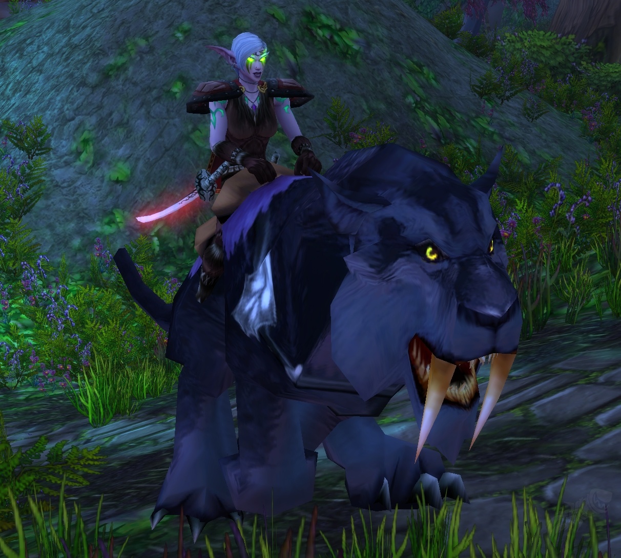 Avana's Nightsaber - NPC - World of Warcraft