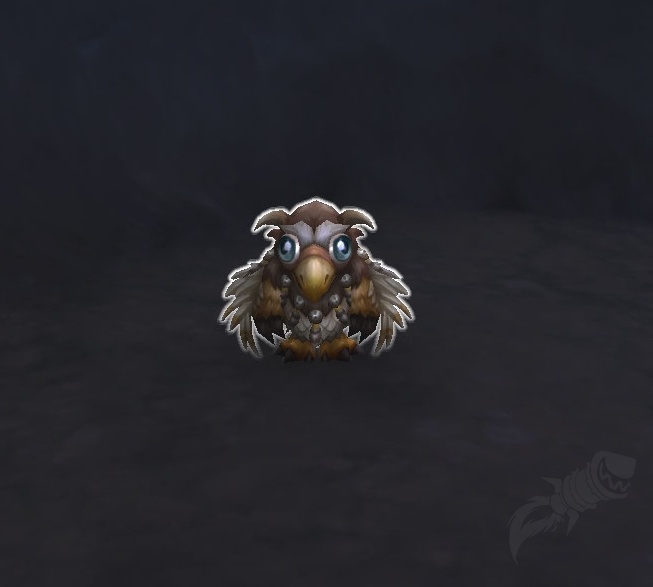 Squawkle - NPC - World of Warcraft