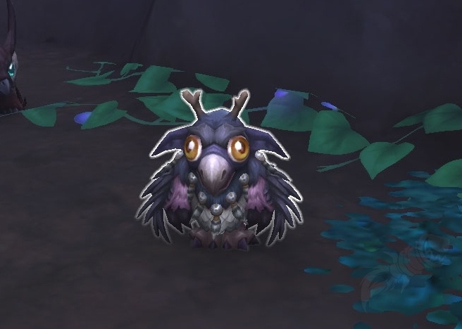 Meep - NPC - World of Warcraft