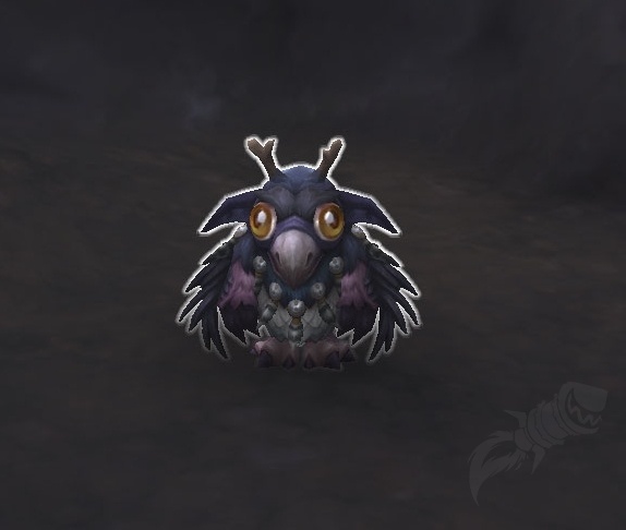 Chickle - NPC - World of Warcraft