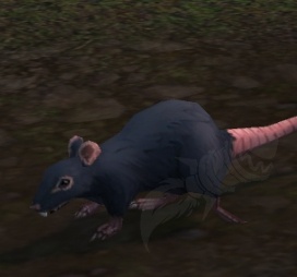 Fjord Rat - NPC - World of Warcraft
